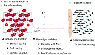 Dissolution, migration, and deposition of transition metal ions in Li ...