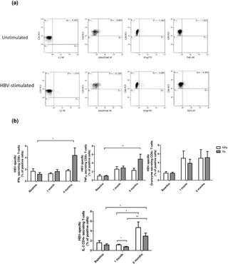 Humoral and cell-mediated immune responses after a booster dose of HBV ...