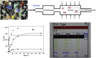 Mobilisation kinetics of hazardous elements in marine plastics subject ...
