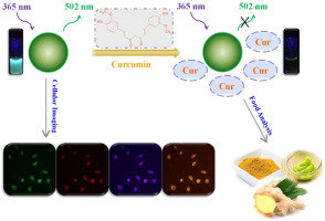氮和磷双掺杂碳点可作为无标记传感器用于实际样品和细胞成像中姜黄素的测定,Talanta - X-MOL