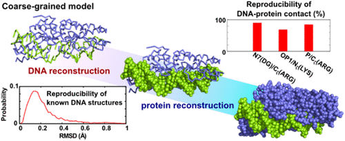 Reconstruction of Atomistic Structures from Coarse-Grained Models for Protein–DNA Complexes ...