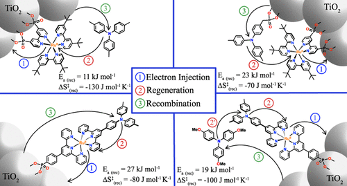 Evidence that ∆S‡ Controls Interfacial Electron Transfer Dynamics from ...