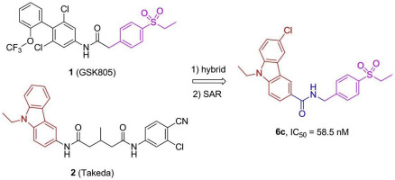 发现咔唑羧酰胺作为新型RORγt反向激动剂,European Journal of Medicinal Chemistry - X-MOL
