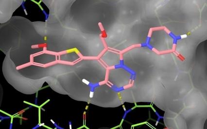 Discovery of Rogaratinib (BAY 1163877): a pan‐FGFR Inhibitor ...
