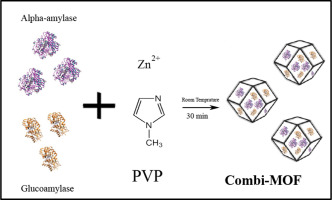 一锅淀粉水解的α-淀粉酶和葡糖淀粉酶的复合金属有机骨架（Combi-MOF）,International Journal of ...