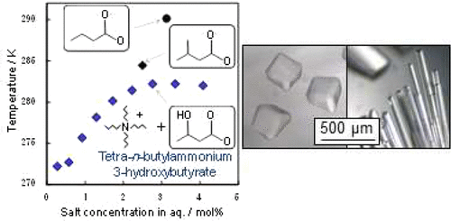 Design of Thermophysical Properties of Semiclathrate Hydrates Formed by ...
