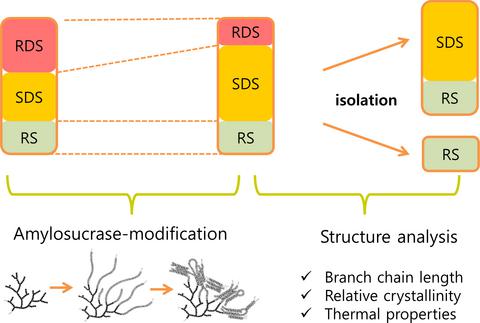 Characterisation of low‐digestible starch fractions isolated from ...