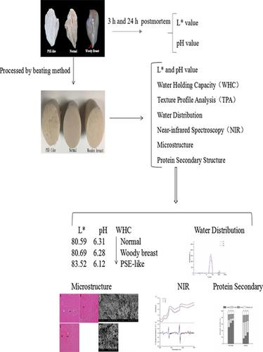 Chicken breast quality – normal, pale, soft and exudative (PSE) and ... Chicken breast quality – normal, pale, soft and exudative (PSE) and ...