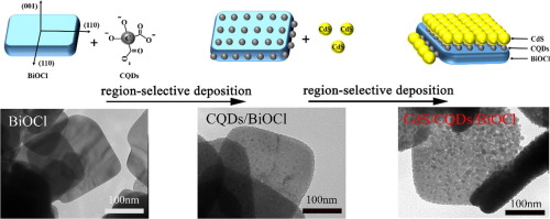 Structure of Z-scheme CdS/CQDs/BiOCl heterojunction with enhanced ...
