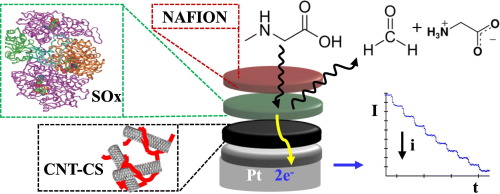 Versatile sarcosine and creatinine biosensing schemes utilizing layer ...