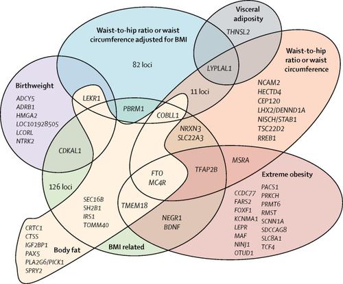 Genetics of obesity: what genetic association studies have taught us ...