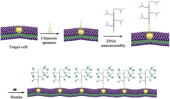 Aptamer–integrated DNA nanoassembly: A simple and sensitive DNA ...