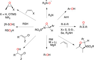 Recent applications of N-sulfonyloxaziridines (Davis oxaziridines) in ...