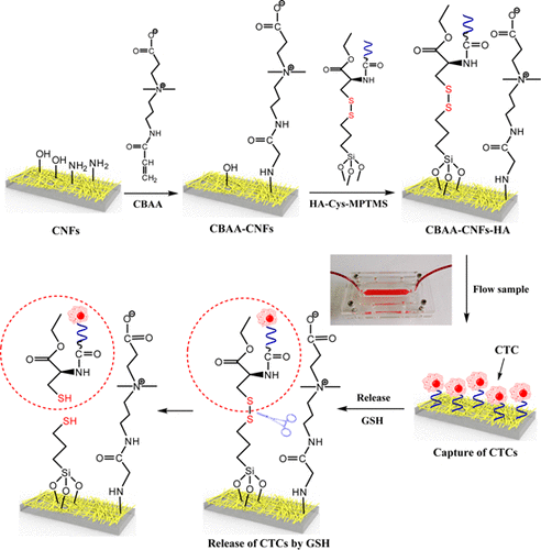 Zwitterionic Polymer