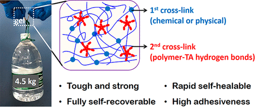 Tough, Swelling-Resistant, Self-Healing, and Adhesive Dual-Cross-Linked ...