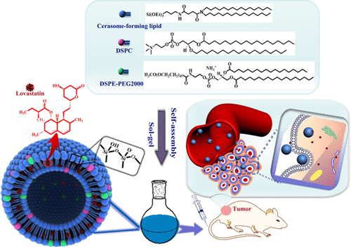Cerasomal Lovastatin Nanohybrids for Efficient Inhibition of Triple ...