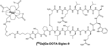 临床级 [68Ga]Ga-DOTA-Siglec-9 放射合成的探索†,RSC Advances - X-MOL