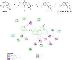 Rational drug design and synthesis of new α-Santonin derivatives as ...