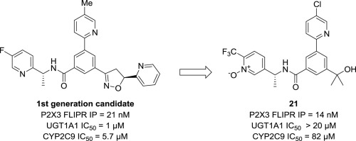 Identification of second-generation P2X3 antagonists for treatment of ...
