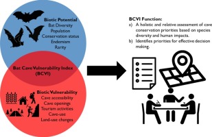 Bat cave vulnerability index (BCVI): A holistic rapid assessment tool ...