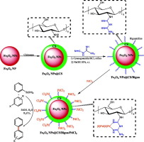 Pd(II)/Pd(0) anchored to magnetic nanoparticles (Fe3O4) modified with ...