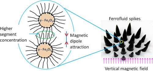 Steric Stabilization of γ-Fe2O3 Superparamagnetic Nanoparticles in a ...