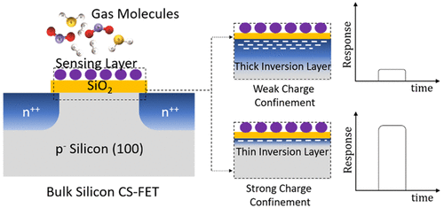 Highly Sensitive Bulk Silicon Chemical Sensors with Sub-5 nm Thin ...