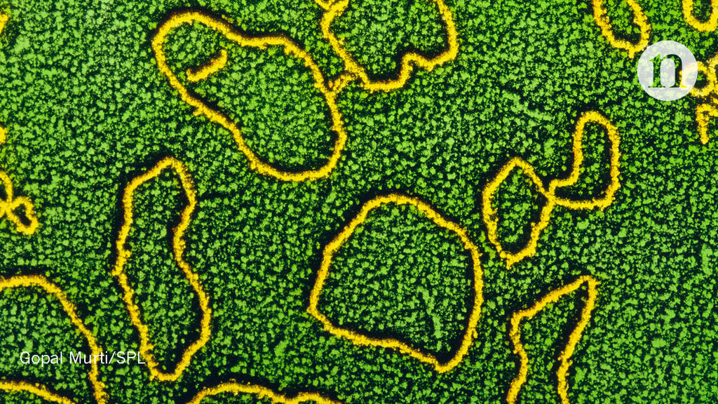 CRISPR hack transform﻿s cells into data recorders,Nature - X-MOL