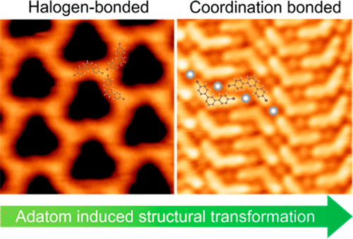 Surface Adatom Mediated Structural Transformation in Bromoarene ...