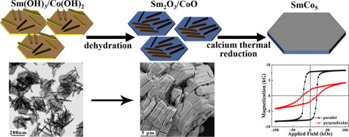 磁性高的各向异性SmCo 5 纳米芯片的简便合成,Chemical Engineering Journal - X-MOL