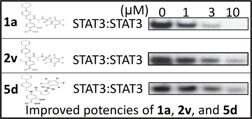 Linker Variation and Structure–Activity Relationship Analyses of Carboxylic Acid-based Small ...