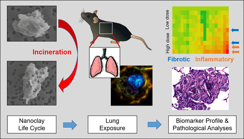 Short-Term Pulmonary Toxicity Assessment of Pre- and Post-incinerated ...