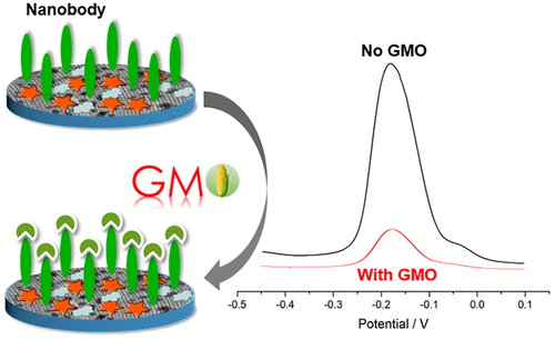 使用纳米抗体和中孔碳促进基因修饰作物标记物的电化学免疫传感,ACS Sensors - X-MOL