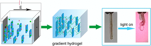 Photothermal Nanocomposite Hydrogel Actuator with Electric-Field ...