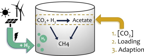 Parameters affecting acetate concentrations during in-situ biological ...