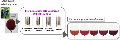 Pre-fermentative cold maceration in presence of non-Saccharomyces ...