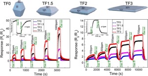 Crystal facet-dependent p-type and n-type sensing responses of TiO2 ...