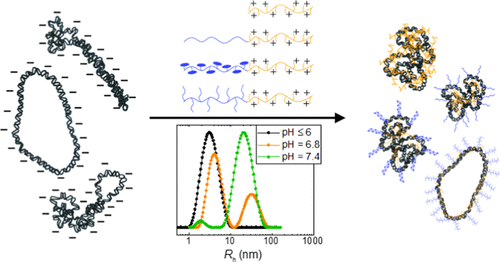 Structures and Protonation States of Hydrophilic–Cationic Diblock ...
