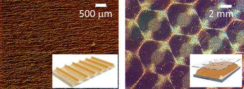 Shear Rheology Control of Wrinkles and Patterns in Graphene Oxide Films ...