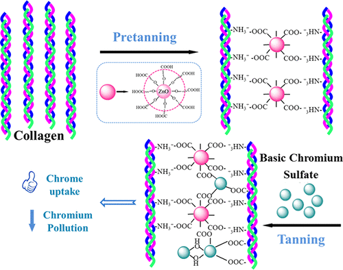 Chromium Footprint Reduction: Nanocomposites as Efficient Pretanning ...