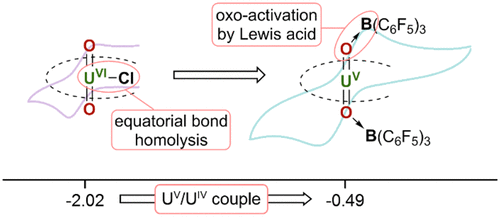 Uranyl to Uranium(IV) Conversion through Manipulation of Axial and ...