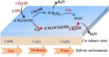 Insight into the formation mechanism and kinetics for the oxidative ...