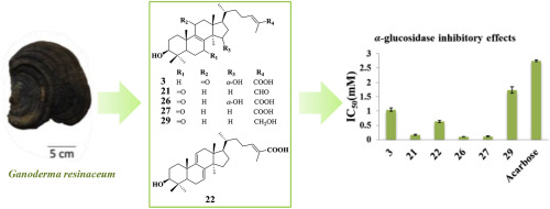 来自蘑菇灵芝的羊毛甾烷三萜及其对α-葡萄糖苷酶的抑制活性,Phytochemistry - X-MOL