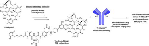 Highly Efficient Synthesis of a Staphylococcus aureus Targeting Payload ...