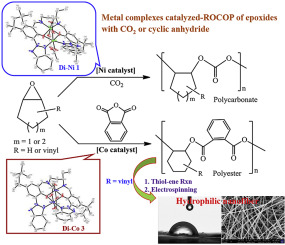 Alternating copolymerization of epoxides with carbon dioxide or cyclic ...