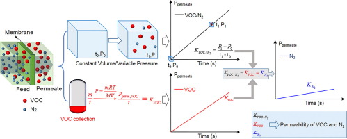 Study on membrane performance in vapor permeation of VOC/N2 mixtures ...