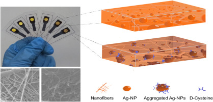 Silver nanoparticles-embedded nanopaper as a colorimetric chiral ...