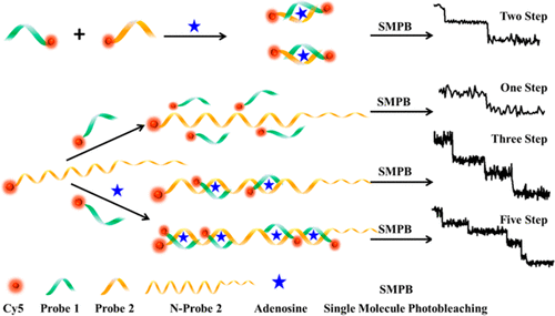 Quantifying the Degree of Aggregation from Fluorescent Dye-Conjugated ...