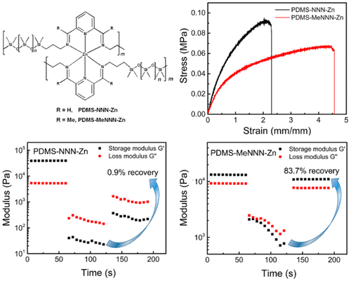 Distinct Mechanical and Self-Healing Properties in Two ...