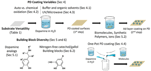 Polydopamine Surface Chemistry: A Decade of Discovery,ACS Applied ...